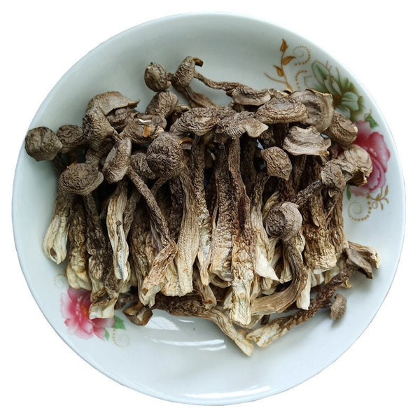 500g Dried Lyophyllum Decastes, Velvet Antler Mushroom, Lu Rong Gu ...